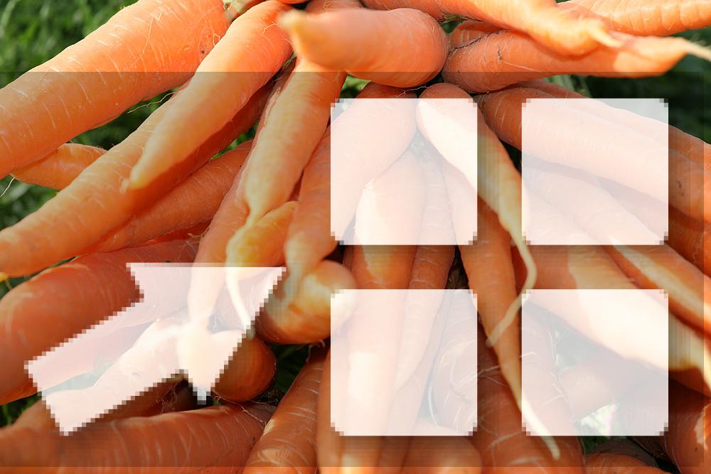 Морква | Продукти | Bramko